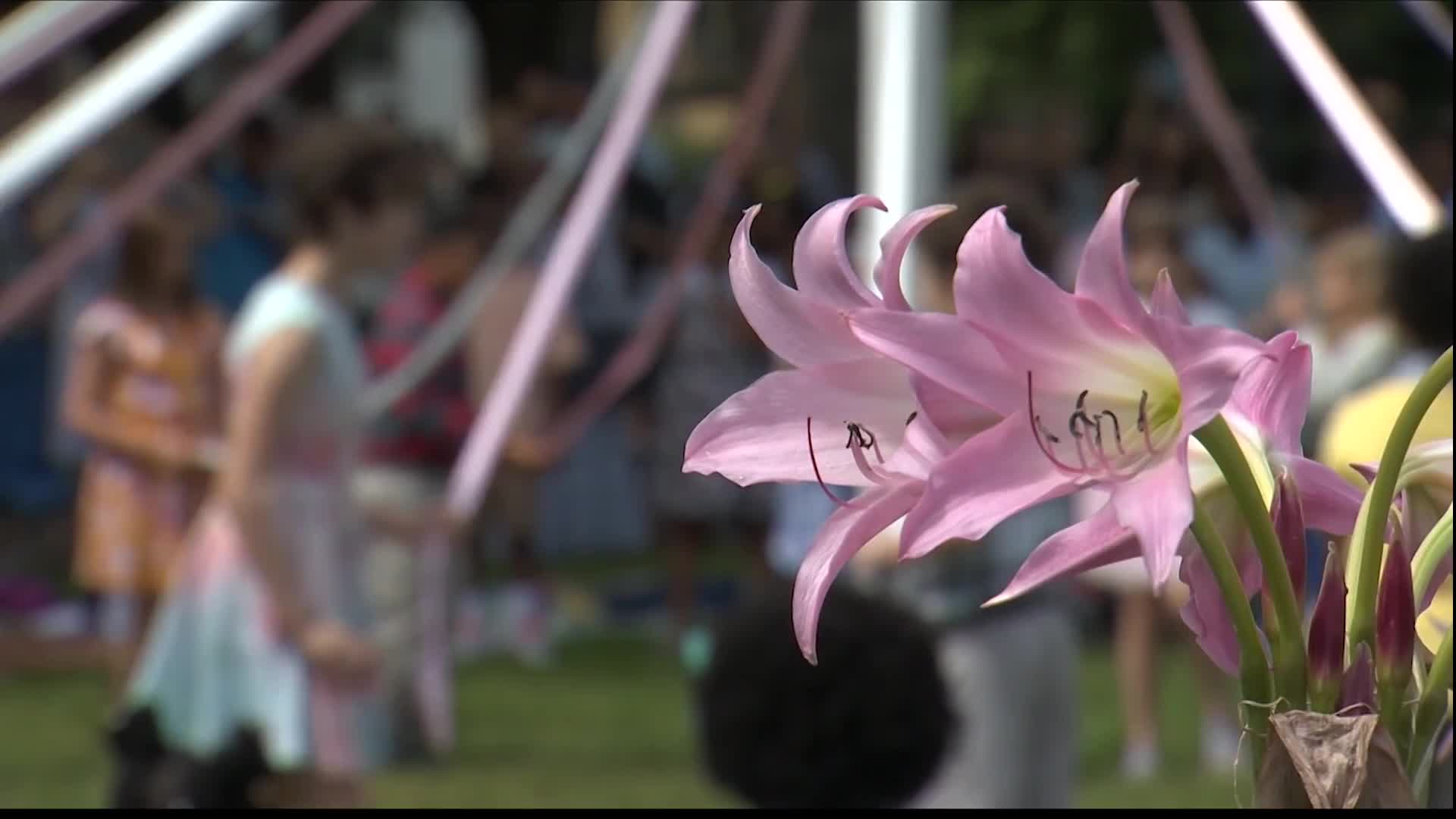 Students celebrate Massie School Mayday Festival – WSAV-TV