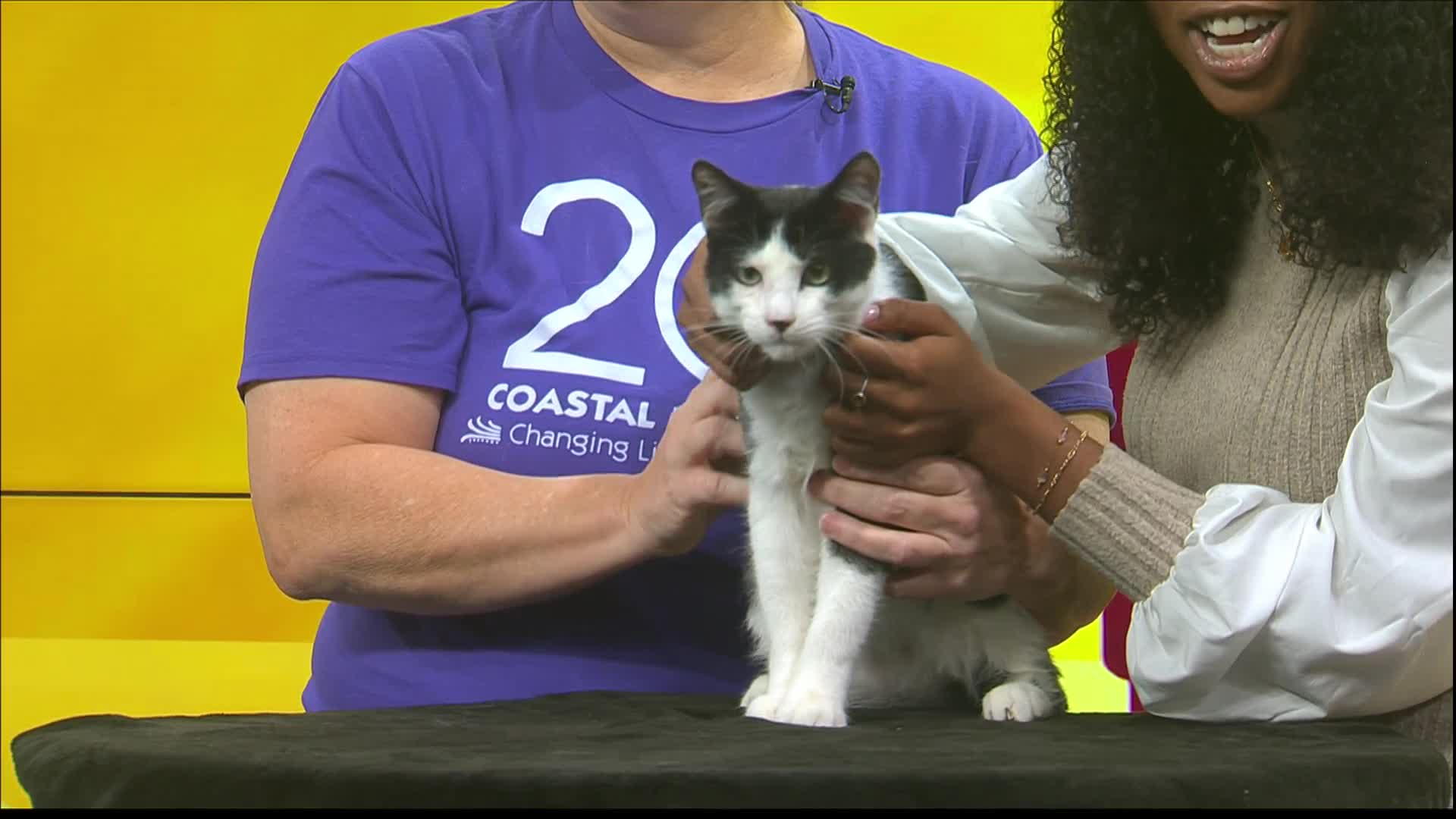 Pet of the week: Meet Malone – WSAV-TV