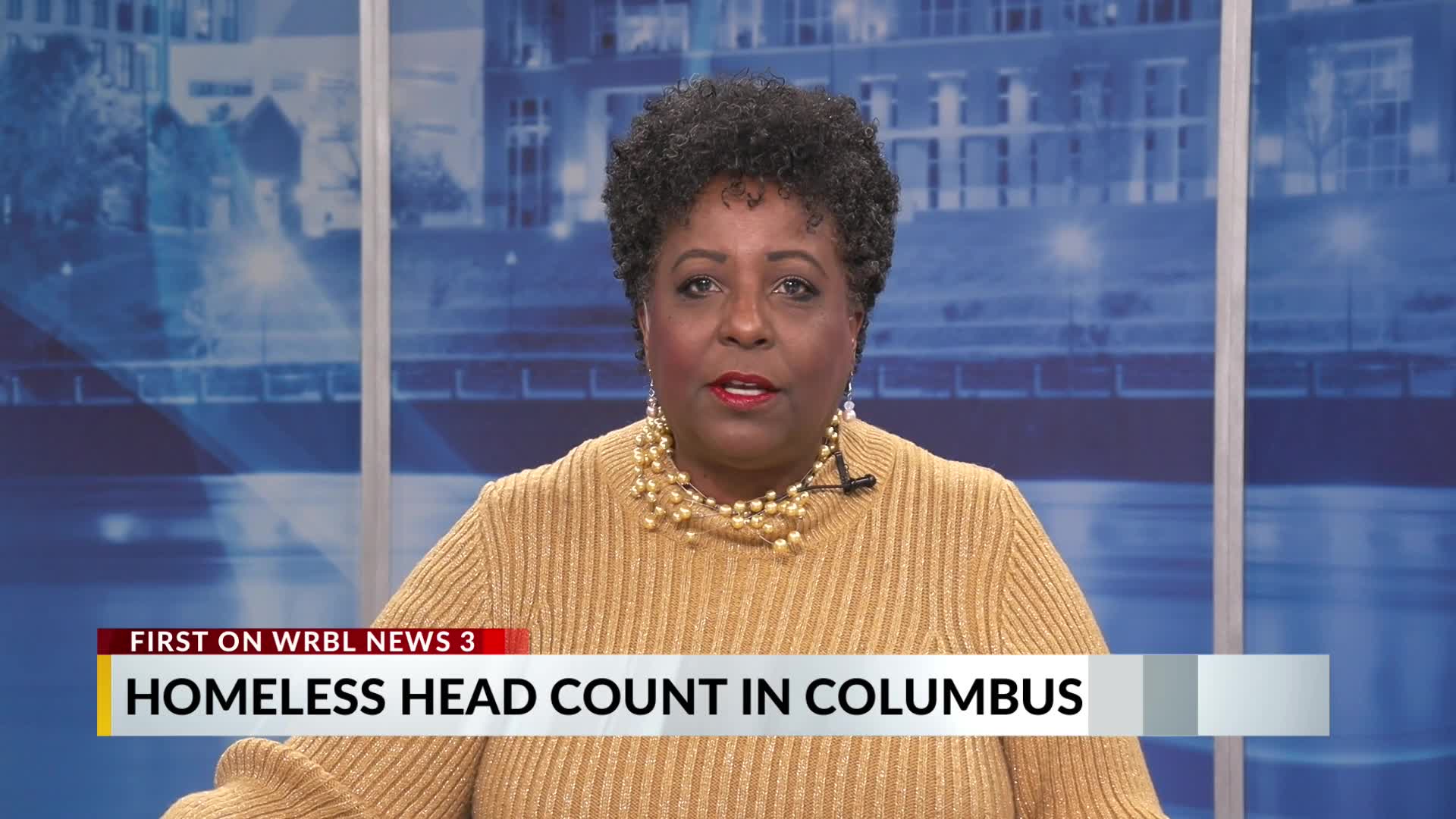 Columbus group braves frigid temperatures to count homeless population ...