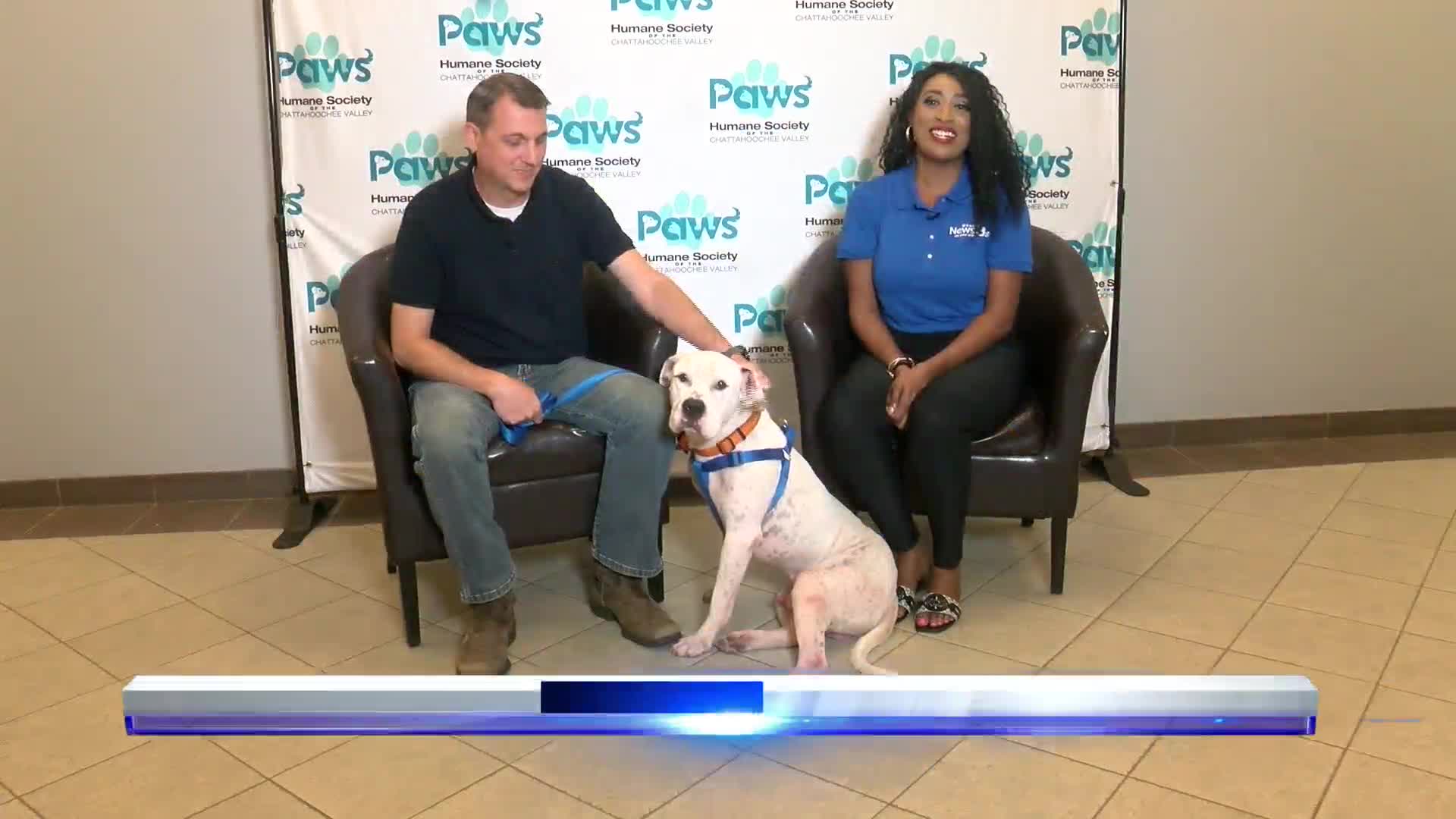 10062022 Mister Sparky’s Pet of the Week: Meet Terrance – WRBL