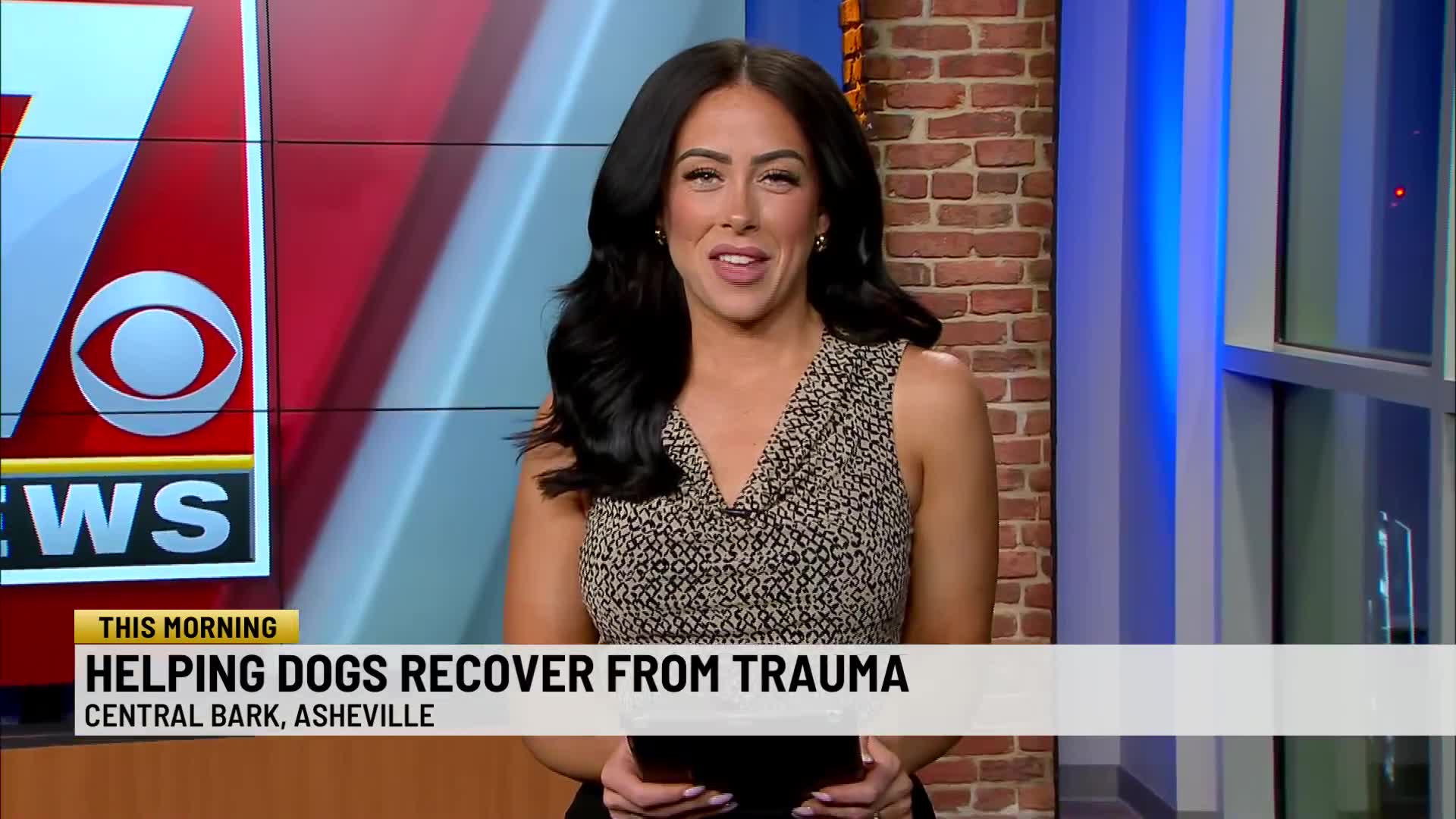 Donate dog items to Helene victims at Central Bark in Asheville – WSPA ...