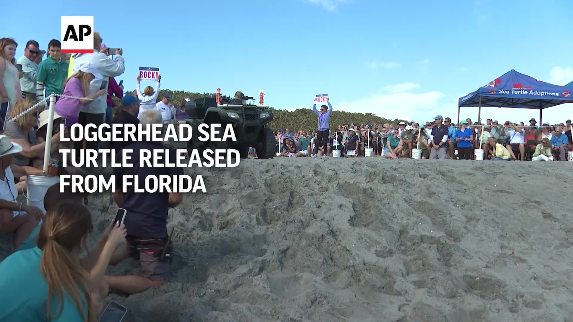Loggerhead sea turtle released after rehabbing in Florida – WSPA 7NEWS