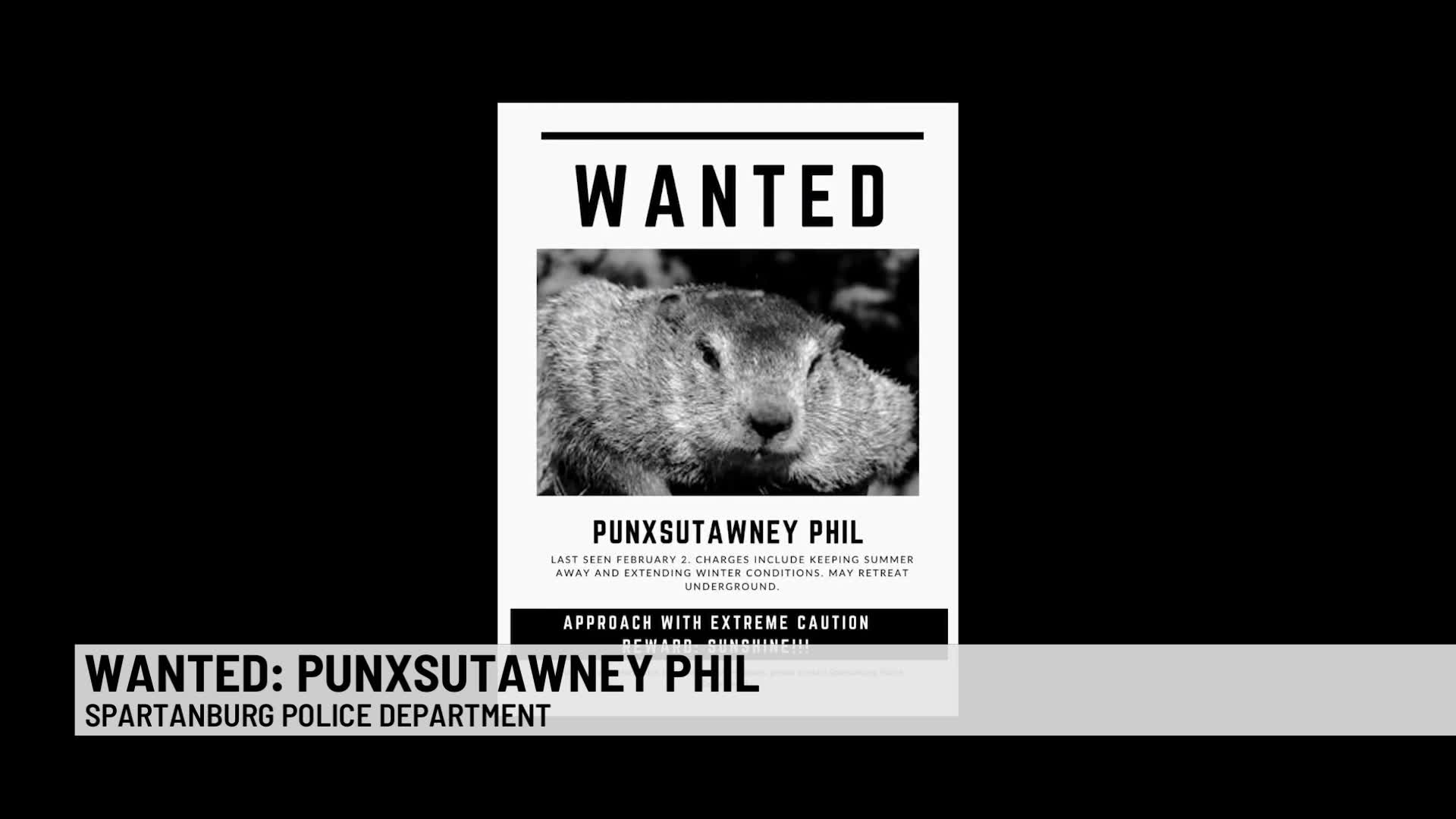 BOLO: Punxsutawney Phil wanted by Spartanburg Police Department – WSPA ...