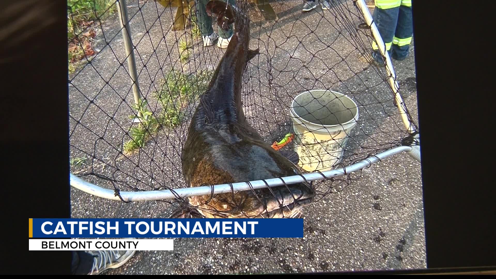 Belmont County hosts all-night catfish tournament – WTRF