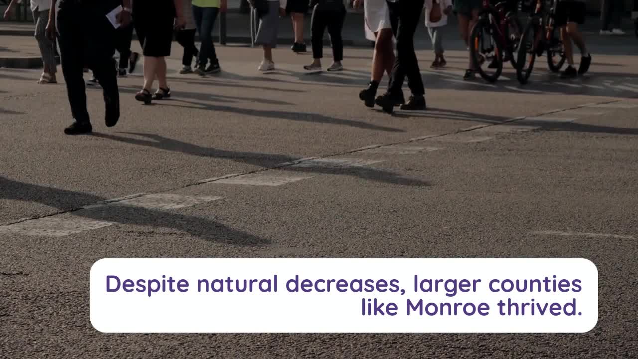 Census data: Rochester area sees significant population growth ...