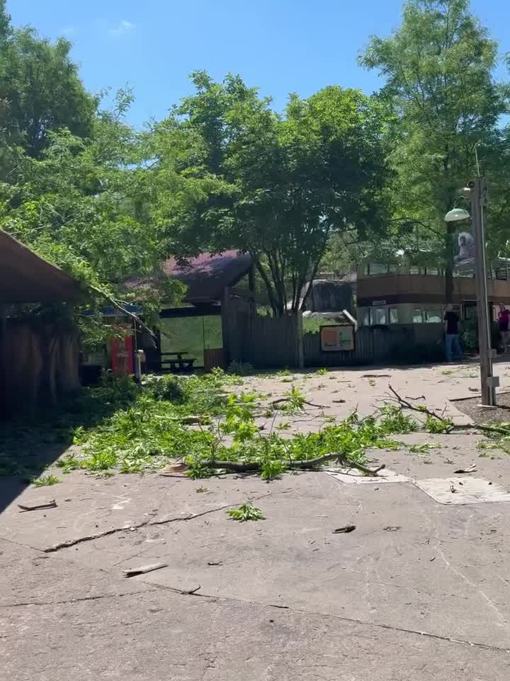 Seneca Park Zoo evacuated, closed for day after tree limb falls on ...