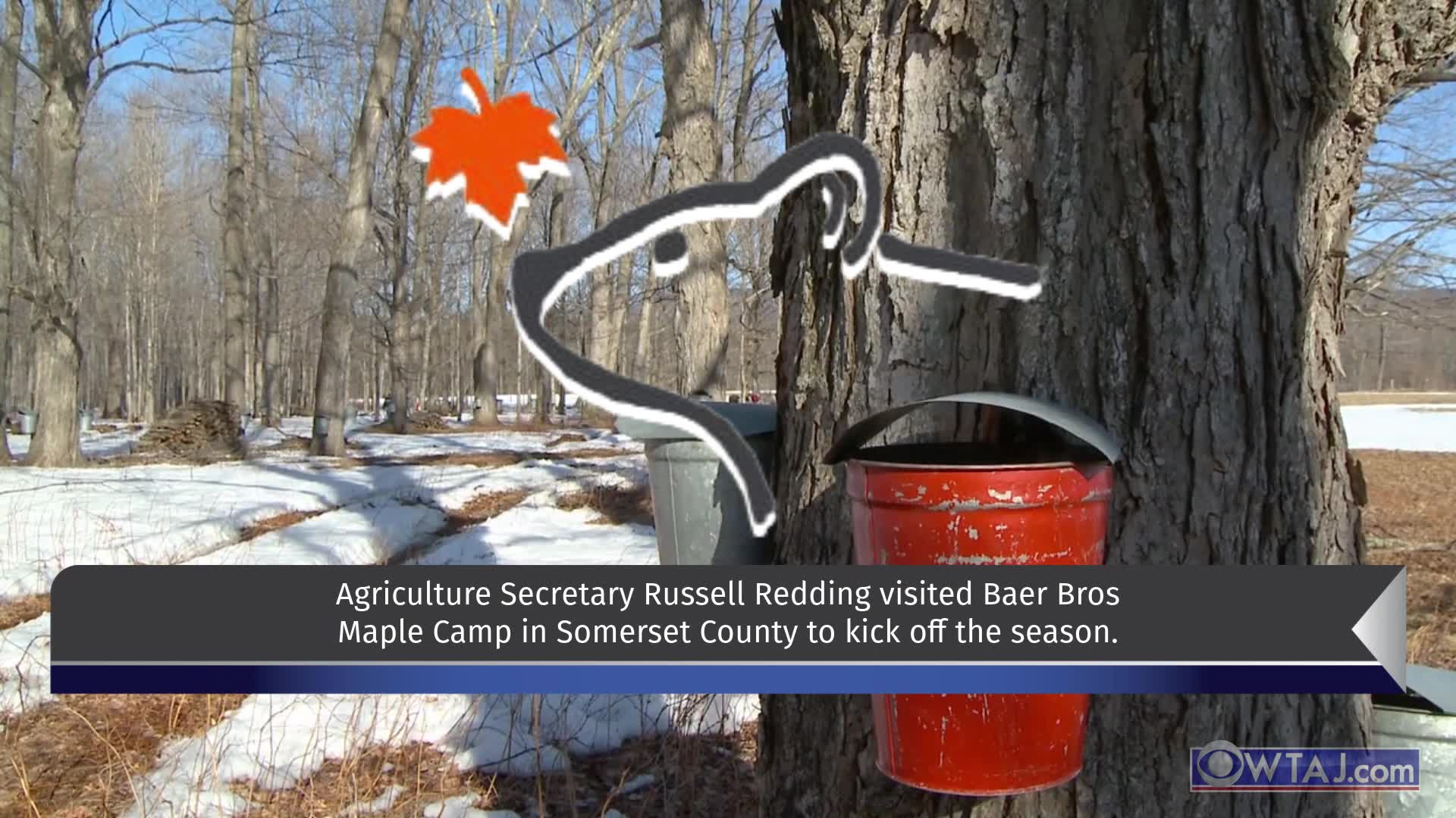 Pennsylvania agriculture secretary kicks off maple tapping season in ...