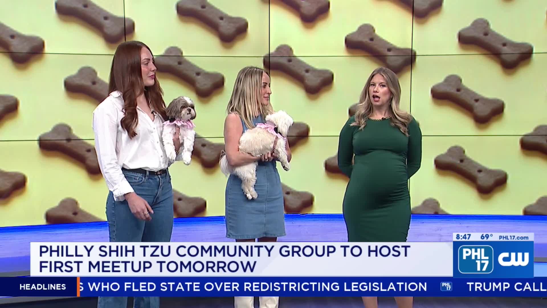 Philly Shih Tzu’s group to host meetup event this weekend – PHL17.com