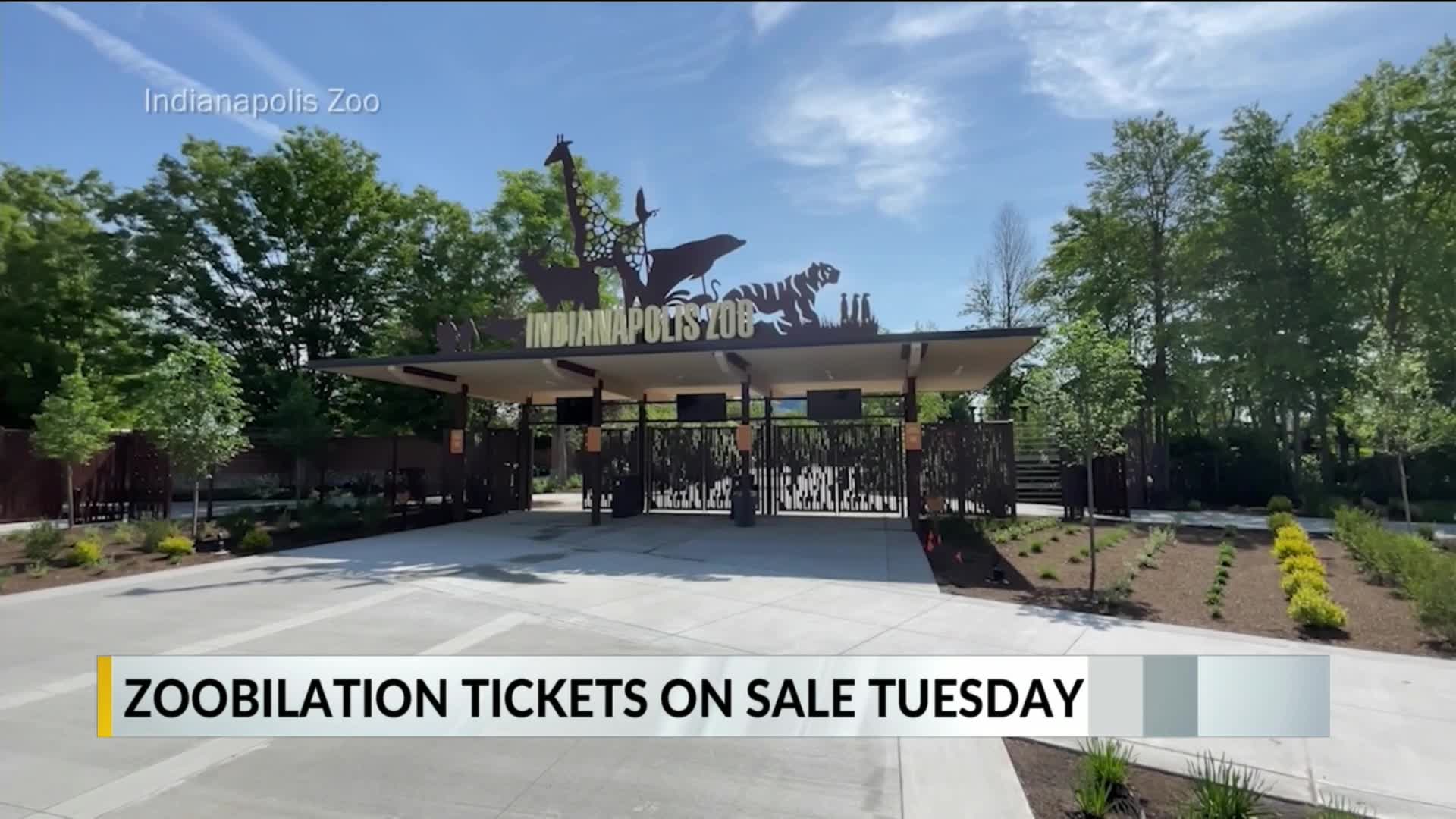 Tickets to Zoobilation 2026 to go on sale on Tuesday – Fox 59