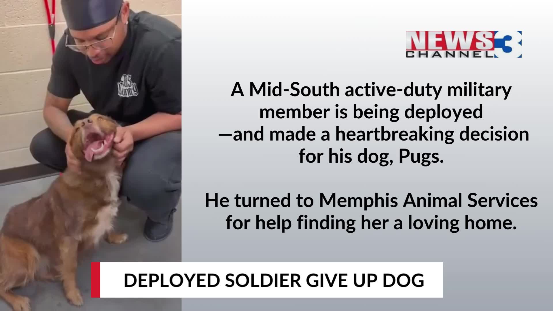 Deployed soldier has to give dog to Memphis shelter – WREG.com