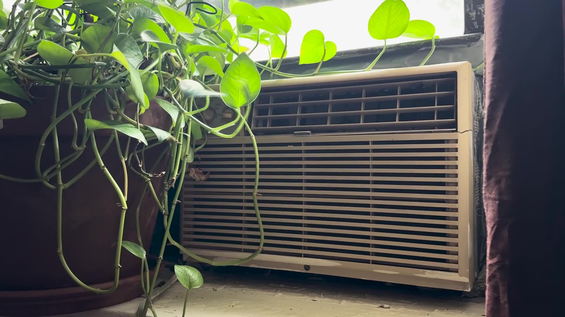 Tips for combating high energy bills in the summer – PIX11