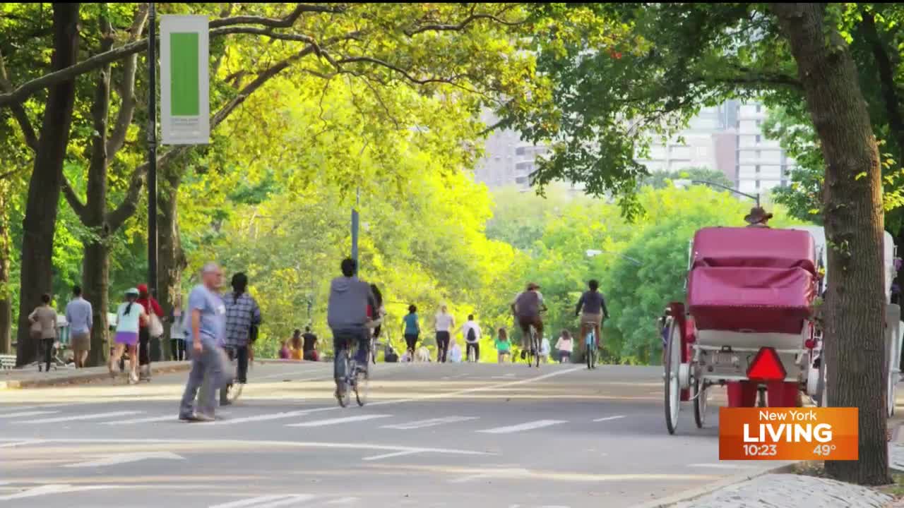 Spring safety tips that’ll keep you safe on the sidewalks, crosswalks ...