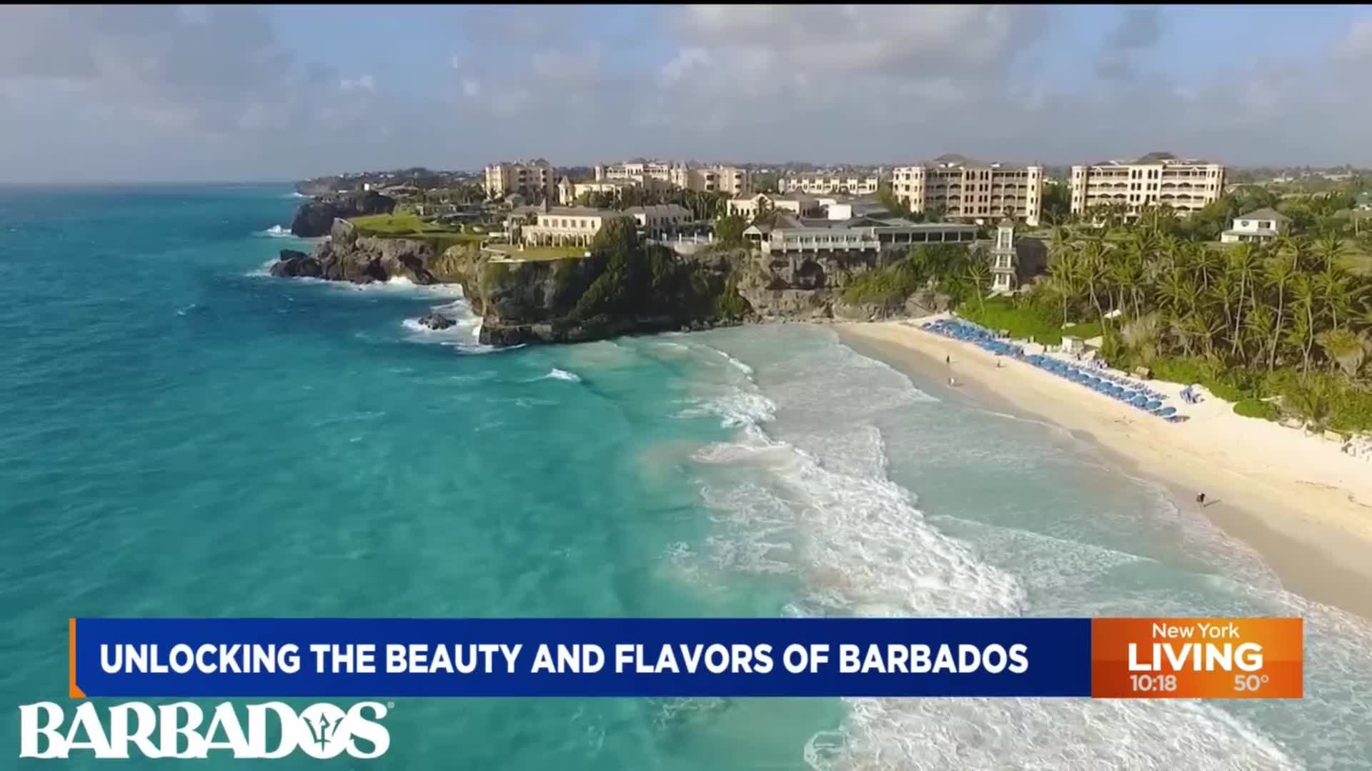 Unlocking the beauty and flavors of Barbados with Chef Creig Greenidge ...